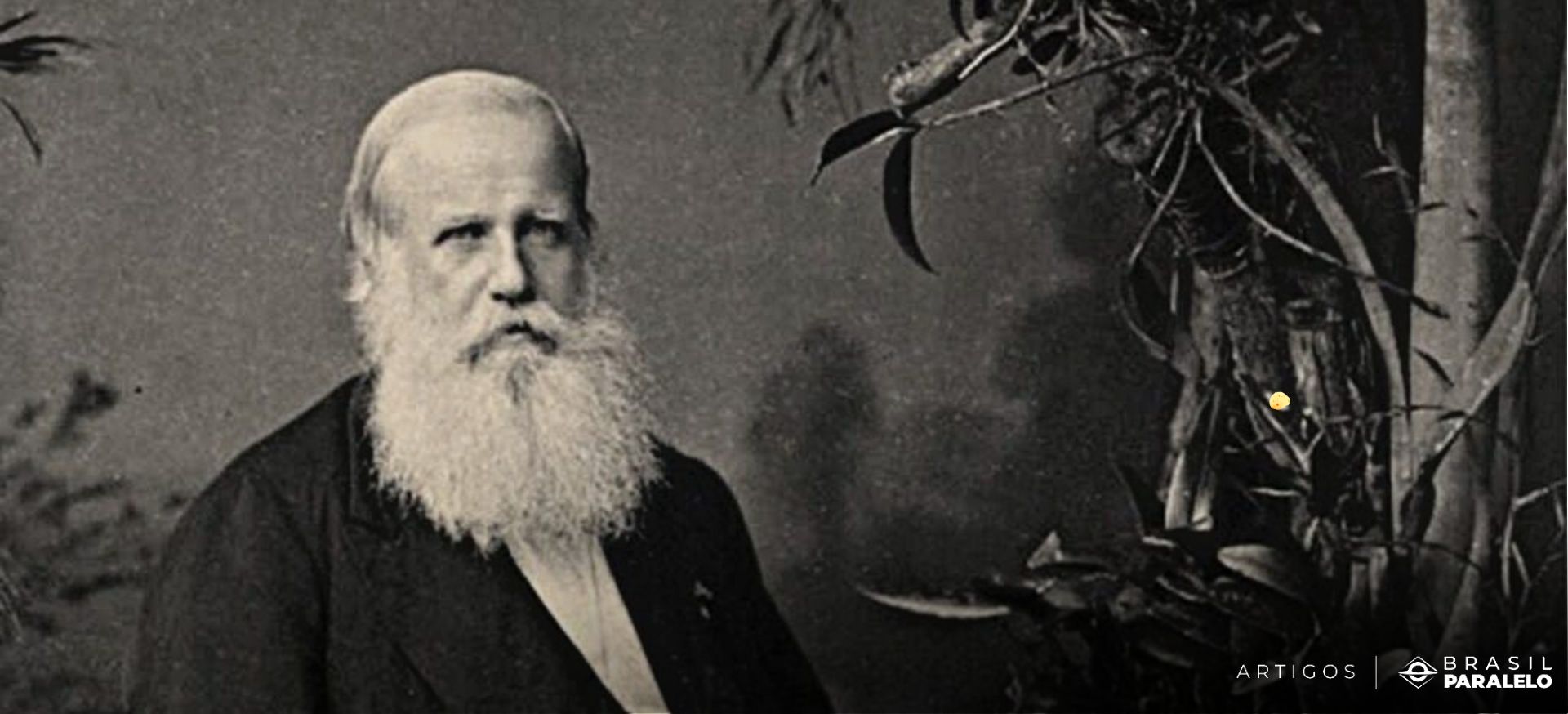 Dom Pedro II Biografia Do ltimo Imperador Brasileiro Dom Pedro II Biografia Do ltimo Imperador Brasileiro